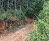 About the CREB track - Douglas Shire Council