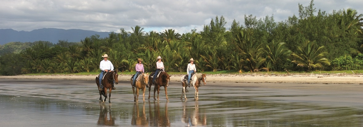 News - Douglas Shire Council