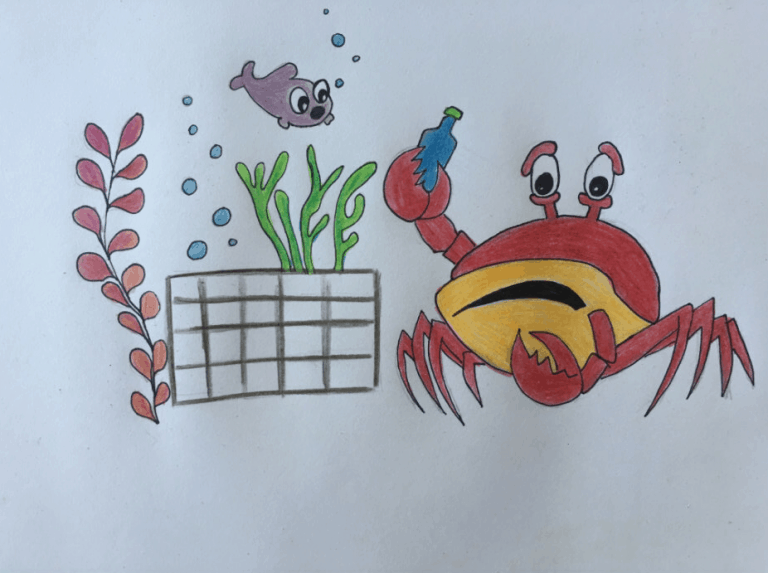Miallo State School students make awesome stencil submissions - Douglas ...