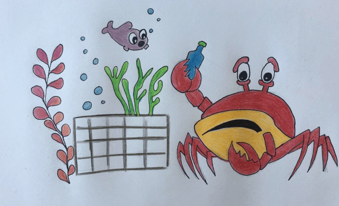 Winners announced for Drain Stencil Art Competition - Douglas Shire Council