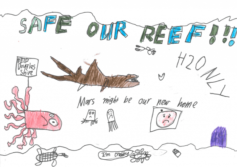 Winners announced for Drain Stencil Art Competition - Douglas Shire Council