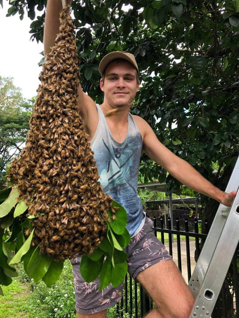 Mossman Library set to buzz - Douglas Shire Council