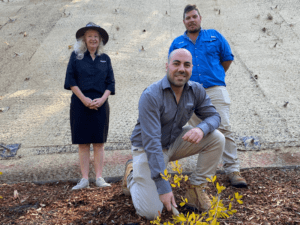 Council Capital Works Program | Douglas Shire Council