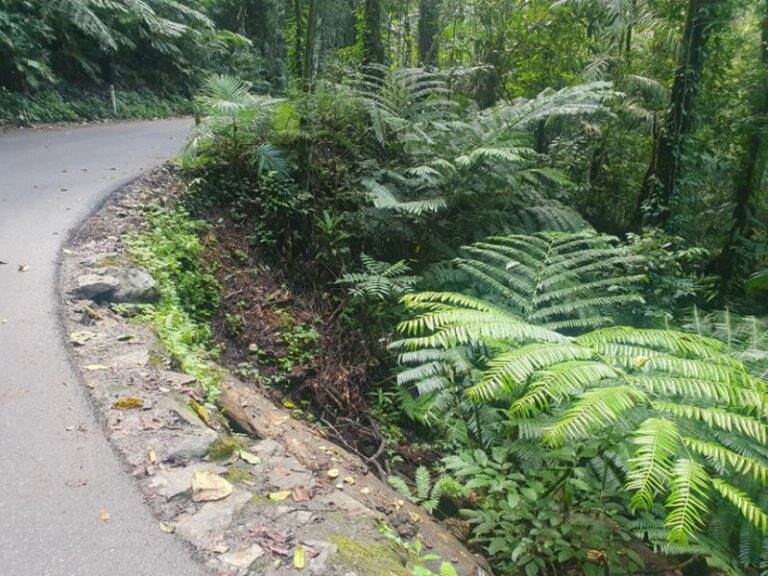 Alexandra Range Widening Project - Douglas Shire Council